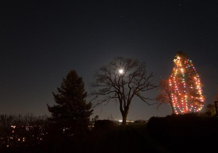 Town Christmas tree celebrates 70th year | Gorge Life ...