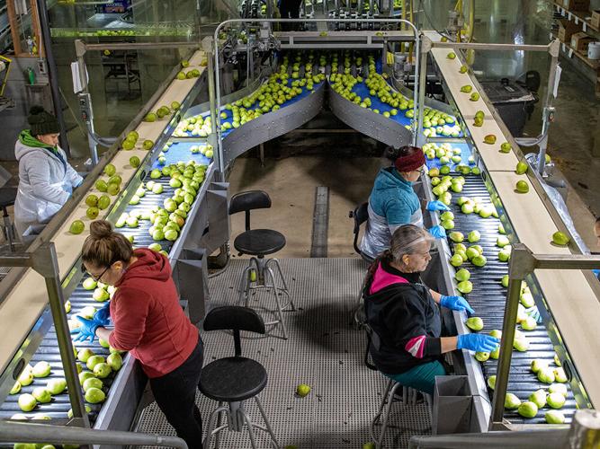 A photojournalist’s favorite photos and stories behind them | News ...