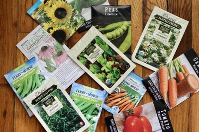 vegetable seed selection