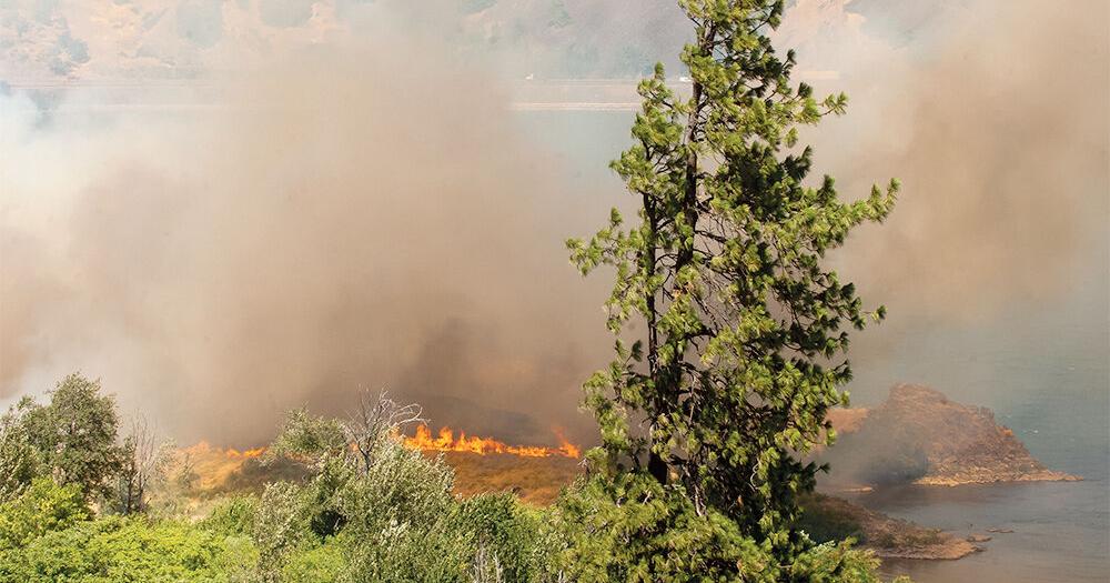 Prevent wildfire: Remember to check your burn piles | News ...