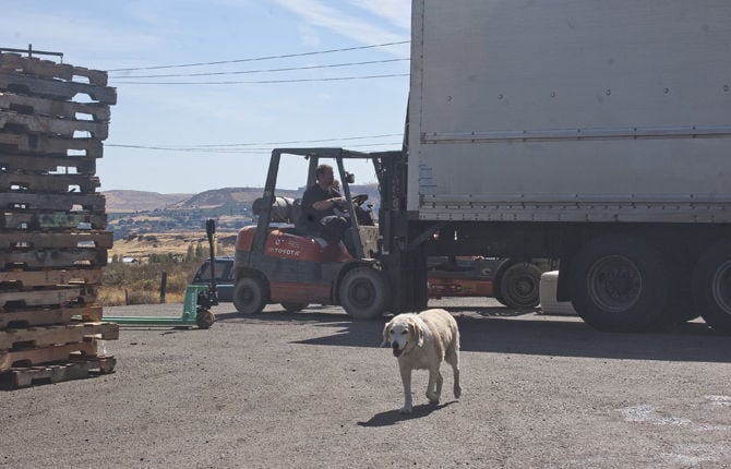 Fresh fish flow through Gilmore Fish Smokehouse | News ...