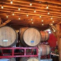 AniChe Cellars: Reinventing the tradition of women making wine | Wine ...
