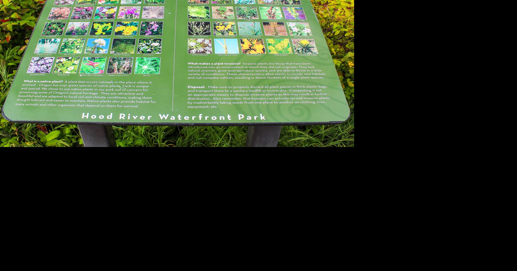 Wayfinder signs coming to waterfront public areas | Education ...