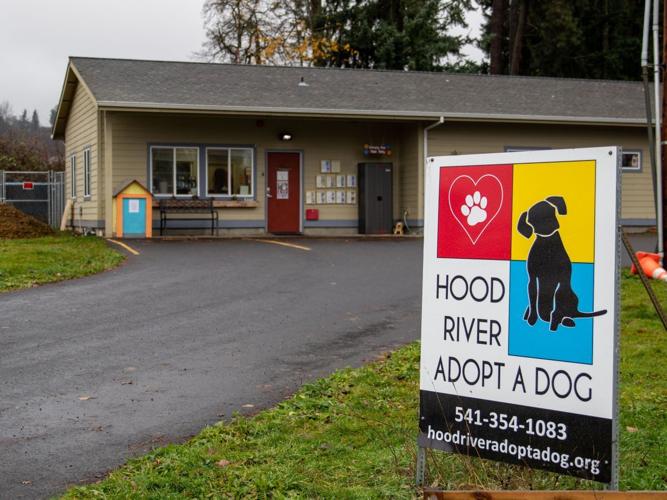 Gorge animal shelters grapple with record number of surrenders ...