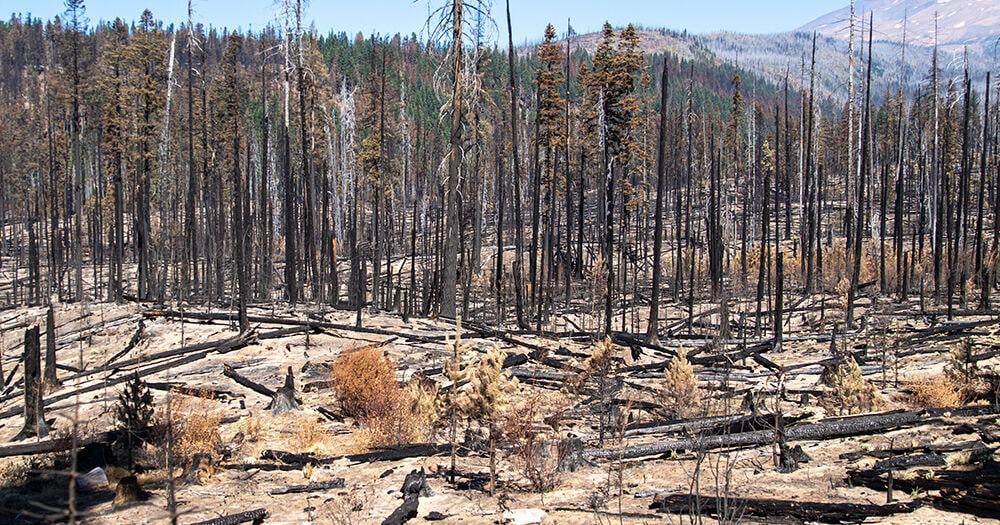 Exclusive look inside the Williams Mine fire (includes slideshow ...