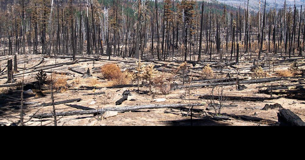 Exclusive look inside the Williams Mine fire (includes slideshow ...