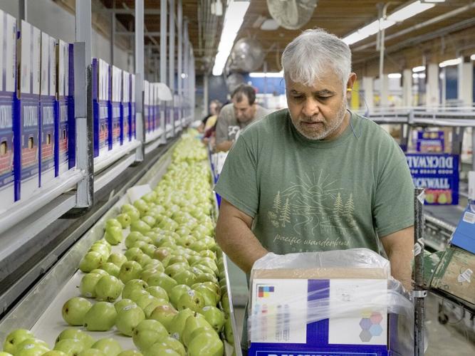 Duckwall Fruit continues legacy using advanced technologies | News ...