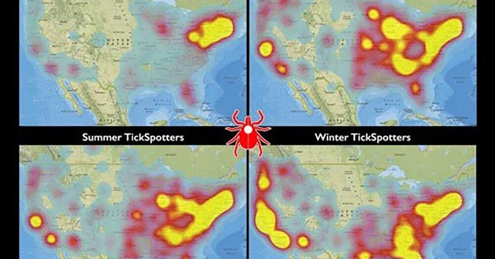 Commentary: Tick season is here: What to know to stay safe | Opinion ...