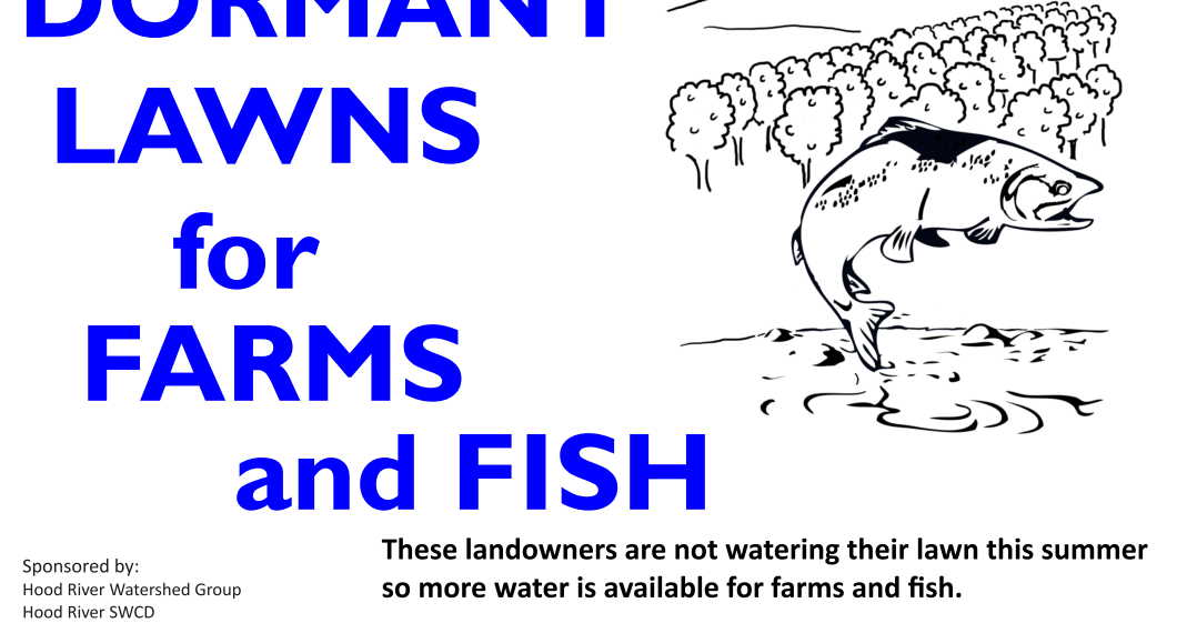 Signs promote dormant lawns, water conservation | News ...