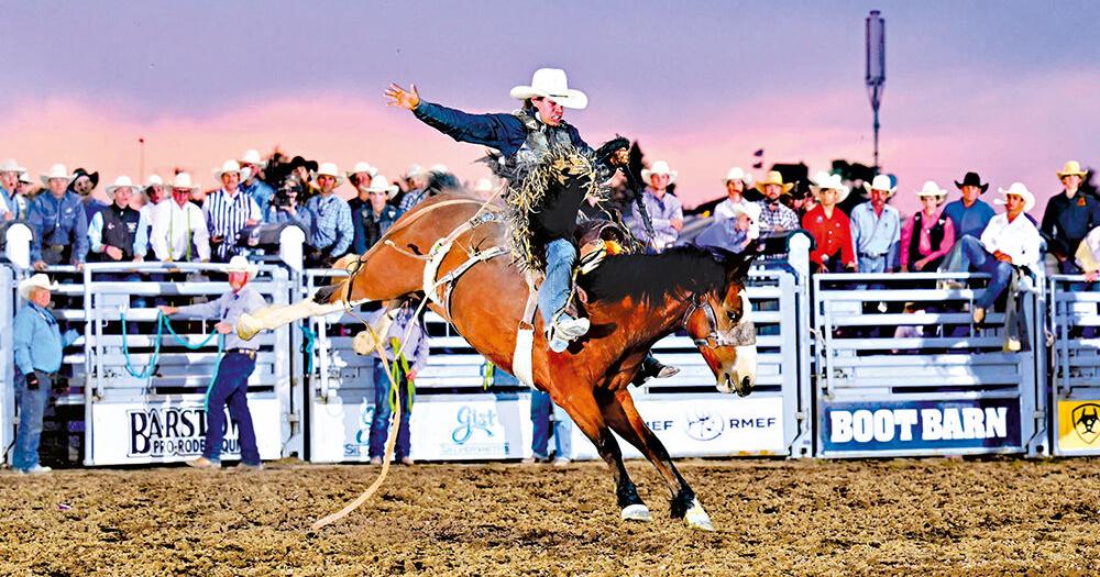Glenwood News: Shane Scott goes to National HS Rodeo Finals | News ...