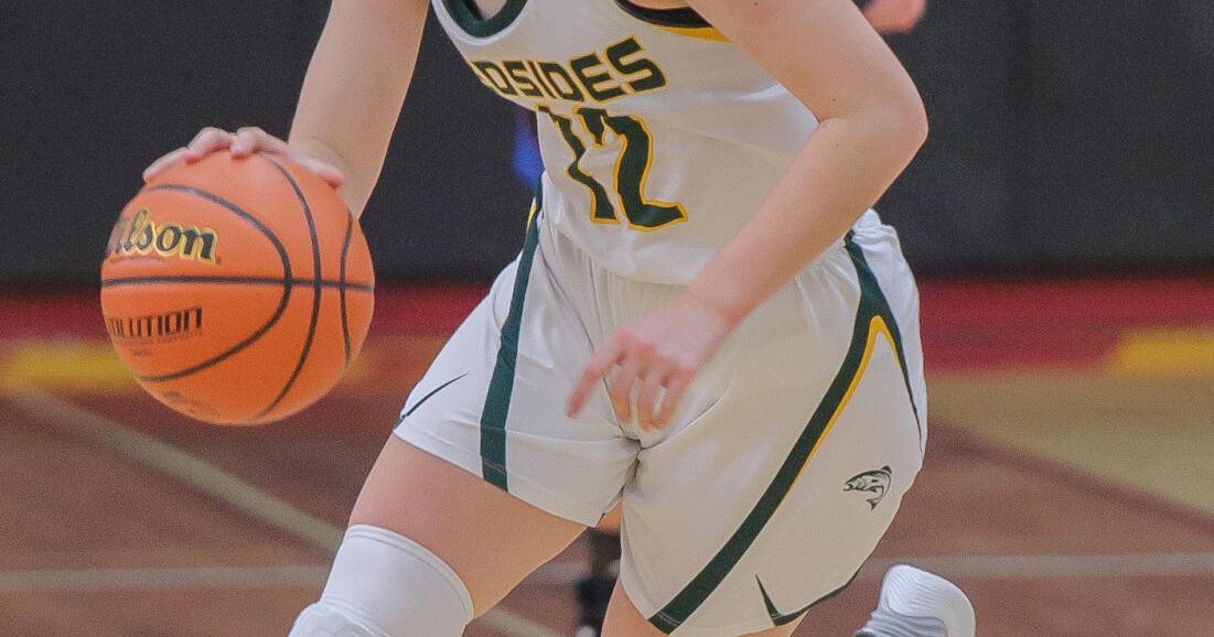 Locals play in 1A basketball all-star series | Sports ...