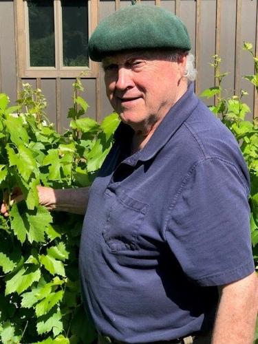 Hood River winemaker rebuilds after fire | News | columbiagorgenews.com