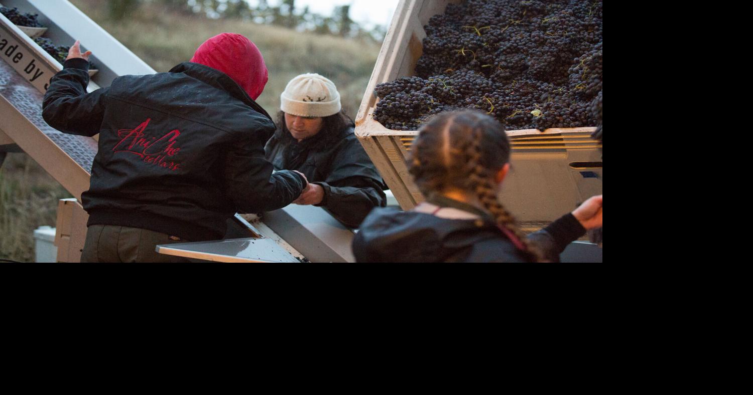 AniChe Cellars fundraiser to support Next Door, Inc. | News ...