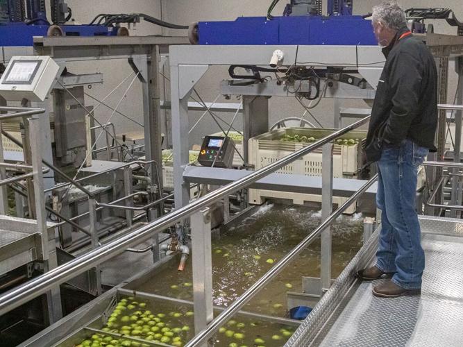 Duckwall Fruit continues legacy using advanced technologies | News ...