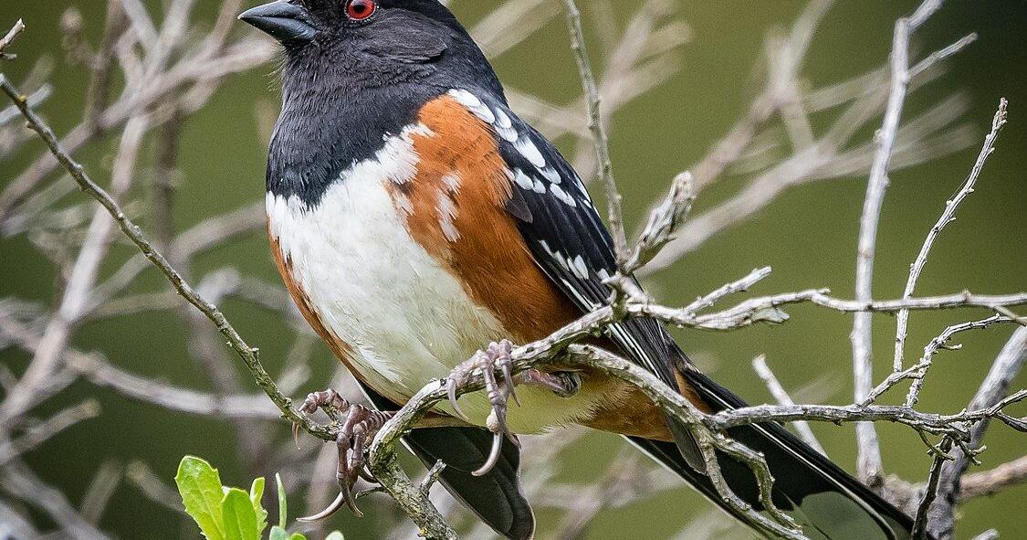 Obituary: Steven Andersen | Obituaries | columbiagorgenews.com