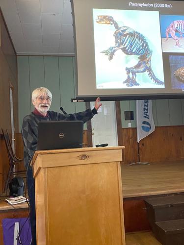 Wild About Nature: Lions, tigers, bears, and wolves, oh my | News ...