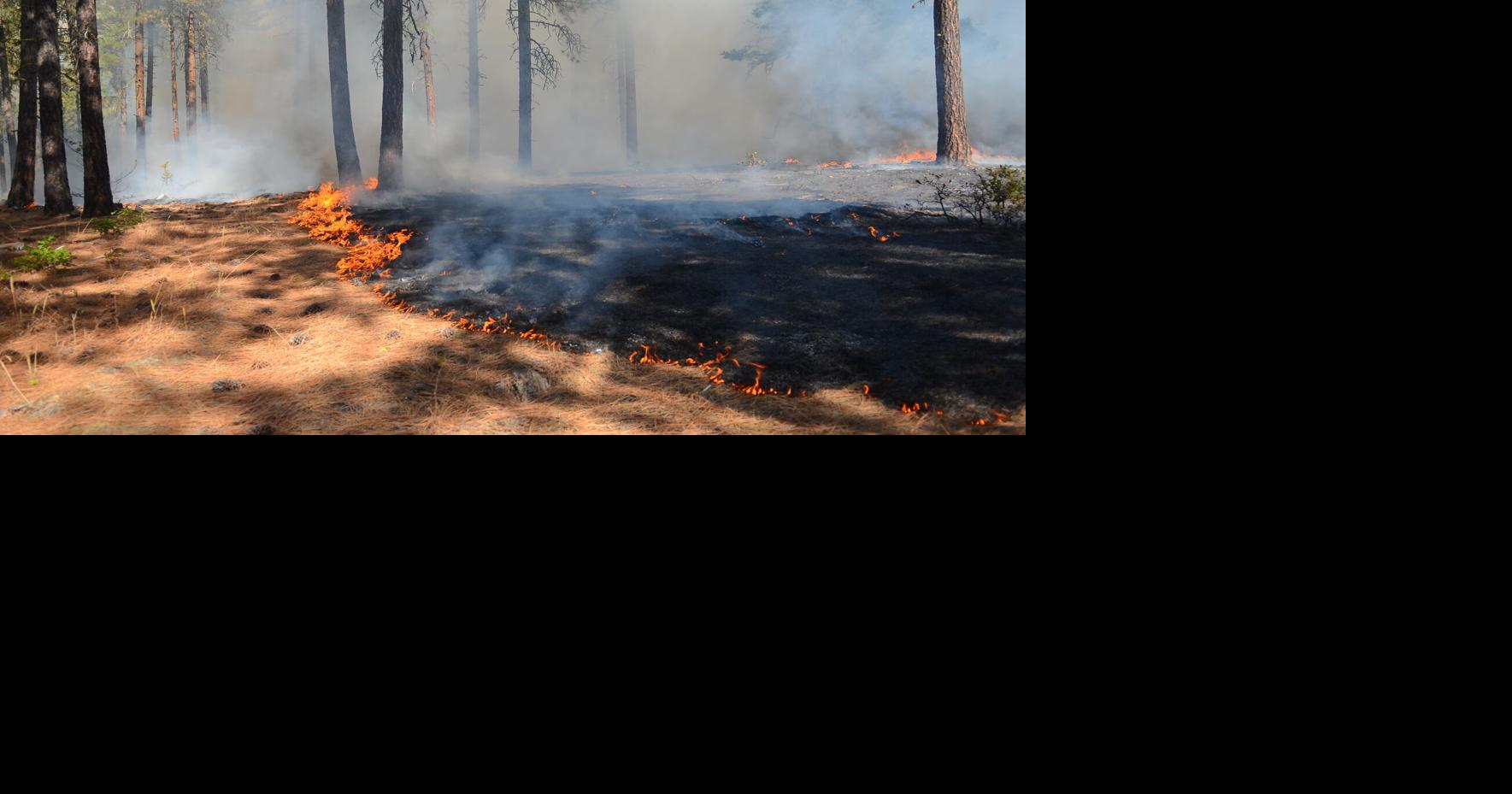 Prescribed burns more important than ever | Environment ...