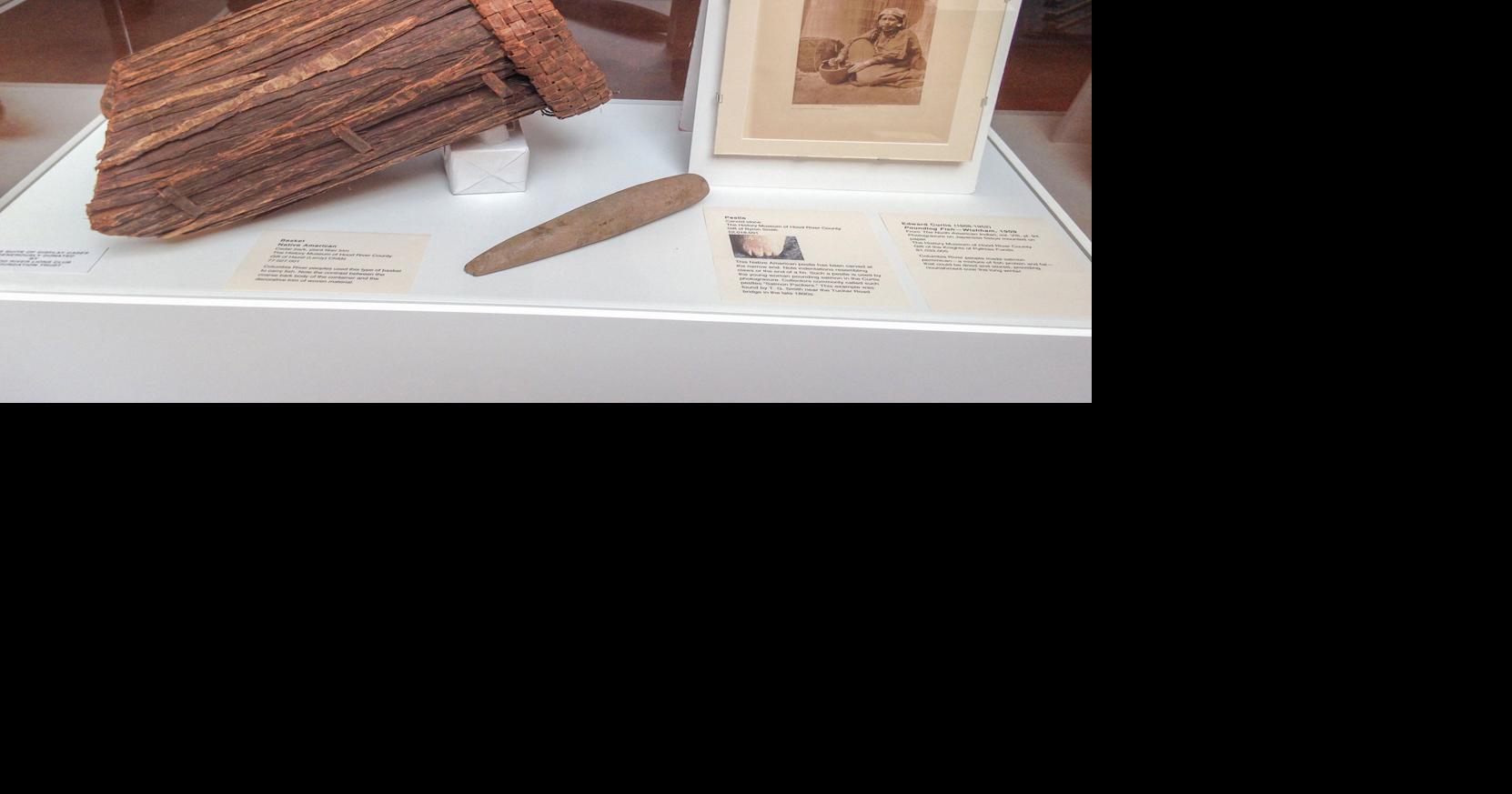 ‘Salmon Connections’ exhibit opens at History Museum | News ...
