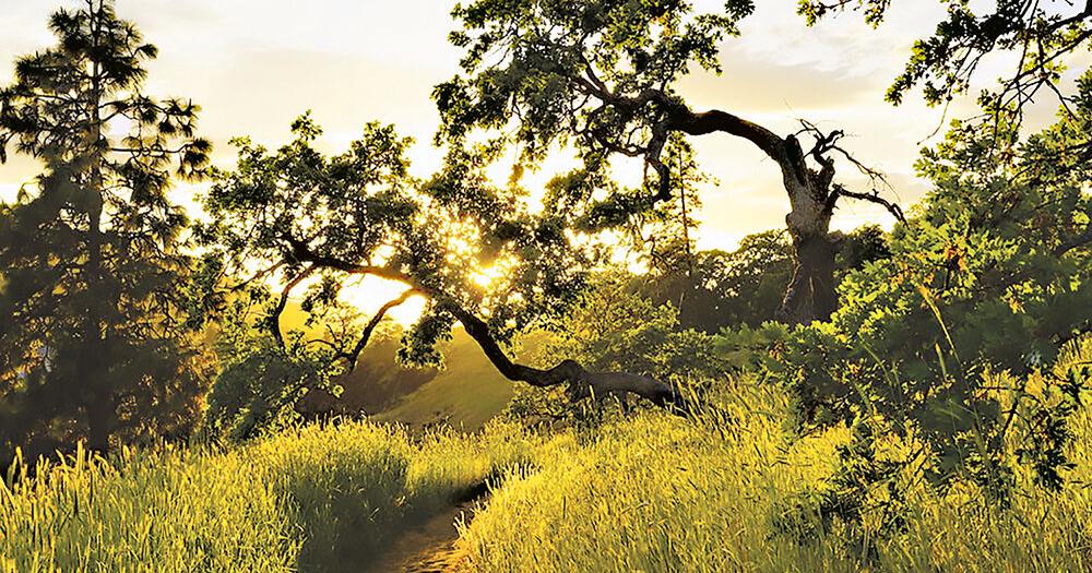 Friends announce winners of Gorge photo contest | News ...