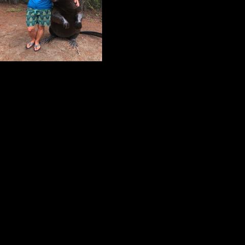 Beaver Power! Sense of Place Nov. 15: Exploring the intricate ...