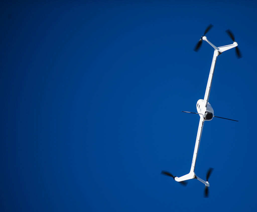 MU research looks for more cost-effective ways to grow forage for ...