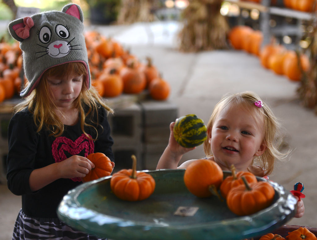 Six facts you ought to know about the autumnal equinox | Local ...