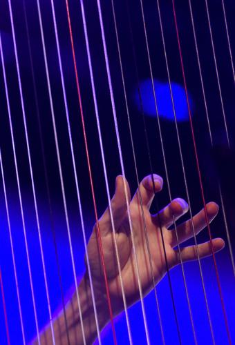 Joseph Rebman plucks at the harp’s strings | | columbiamissourian.com