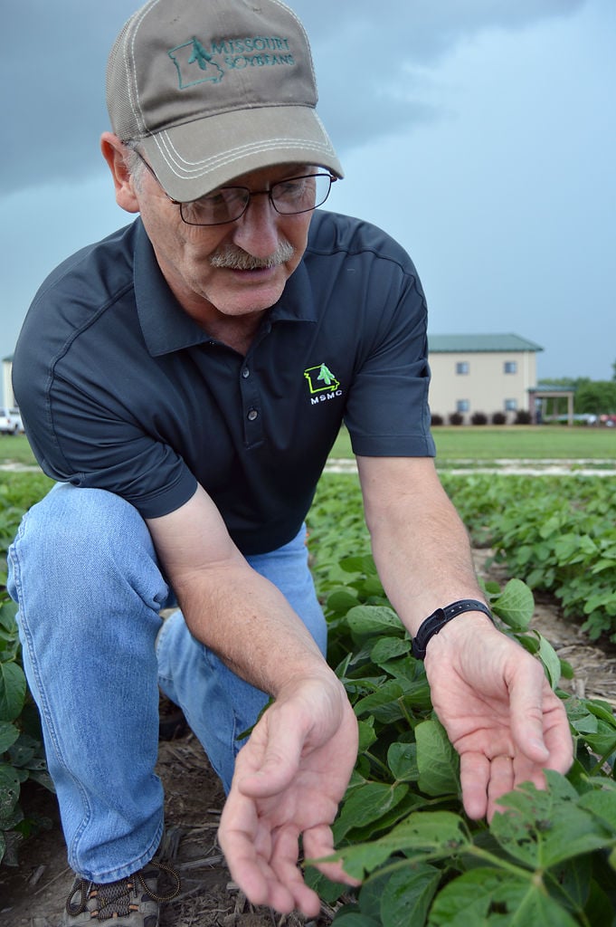 Missouri farmers fear tariffs will cause soybean prices to collapse ...
