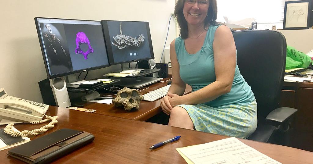 MU professor helps uncover questions behind 'Dikika Baby' | Local ...