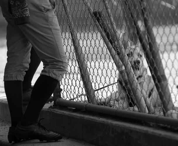 Vintage 'base ball' brings camaraderie for those playing, an education ...