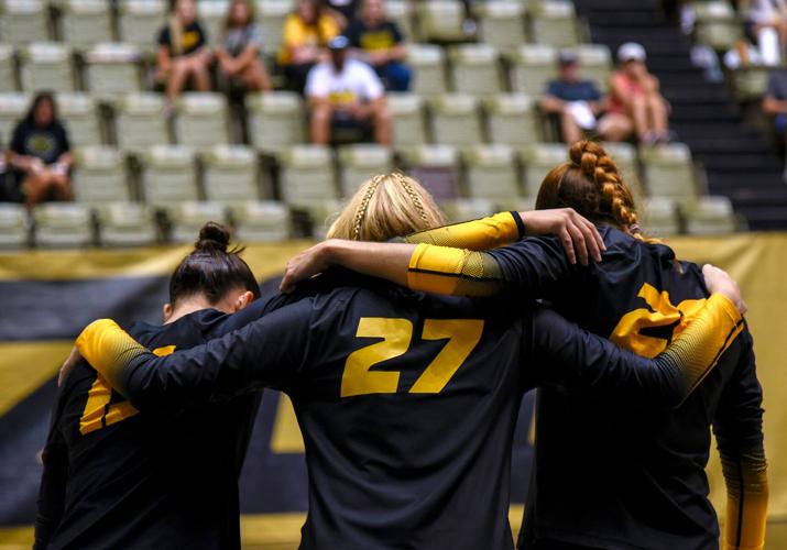 Mizzou volleyball holds Black & Gold Scrimmage | Mizzou Sports ...