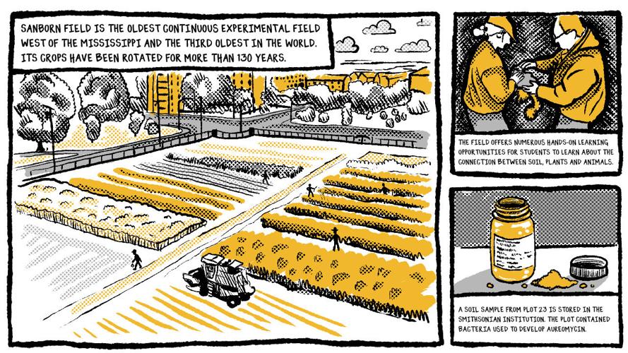 75 years later: Discovery of 'wonder drug' aureomycin at MU changed the ...