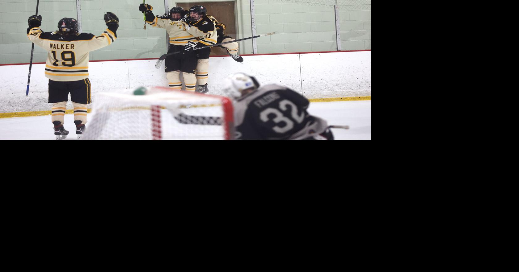 Mizzou hockey wins to continue their national tourney run | Mizzou ...