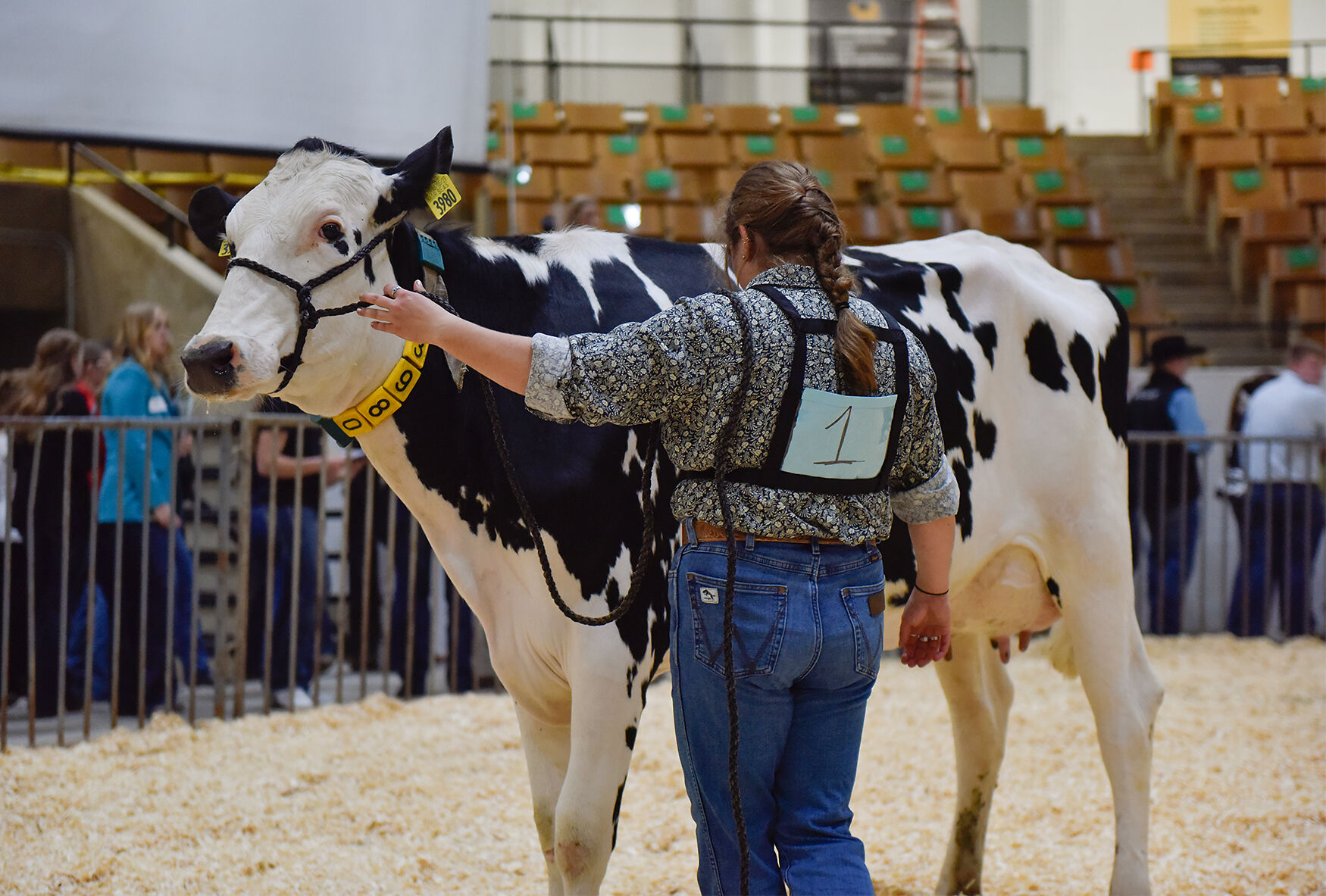 Missouri FFA Convention brings thousands to Columbia | News ...