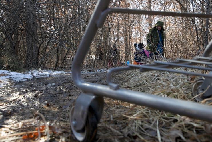 Homeless face displacement, instability through the winter | Local ...