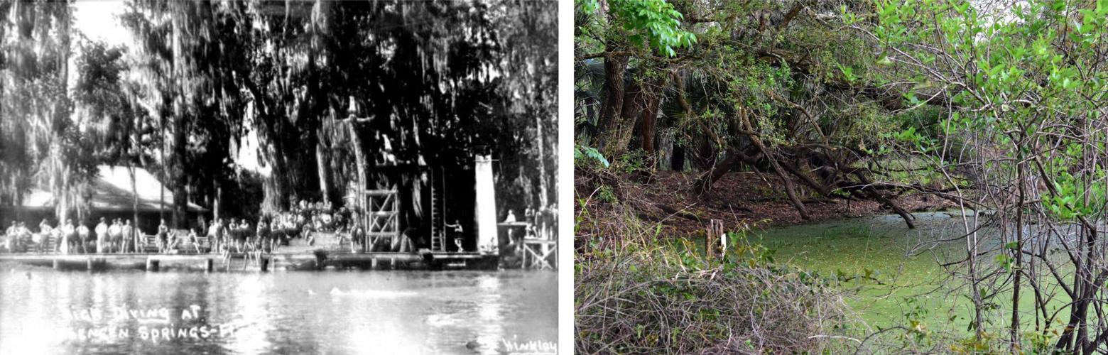 Florida’s hidden backbone: the 'white gold' that shaped the state ...