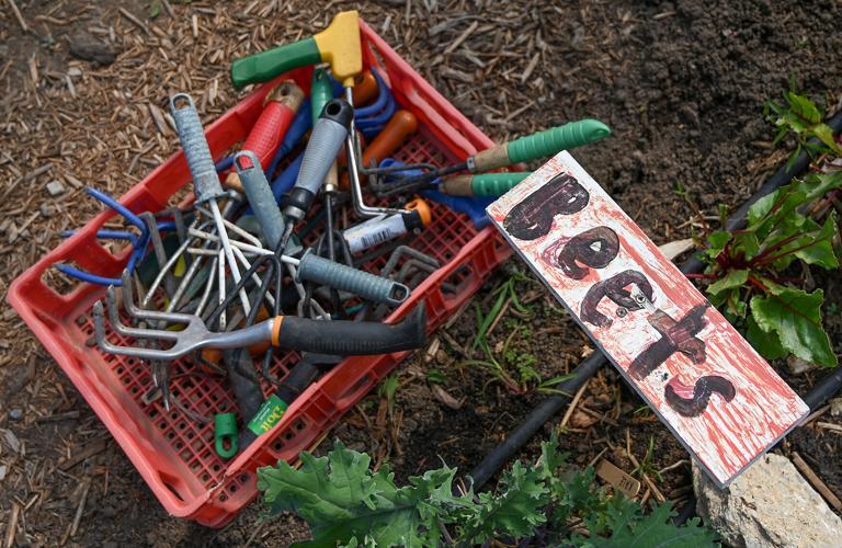 Southern Boone Learning Garden keeps students growing year-round | News ...