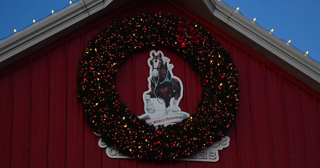 Budweiser Clydesdales are the stars at Warm Springs Ranch during the ...