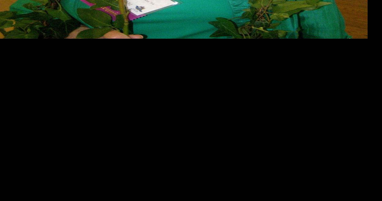 Janet Rose Goodson, June 21, 1934 — July 25, 2022 | Obituaries ...