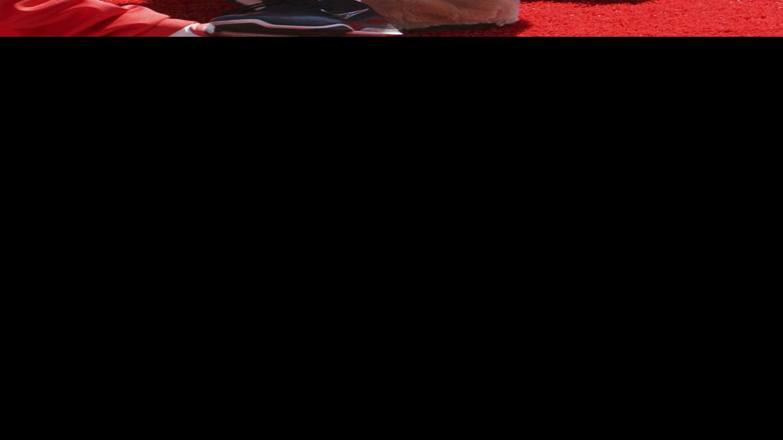 bobcat attacks brutus