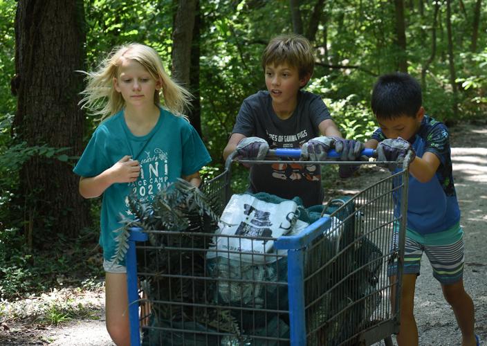 Junior adventurers brave the wilderness at summer camp | News ...