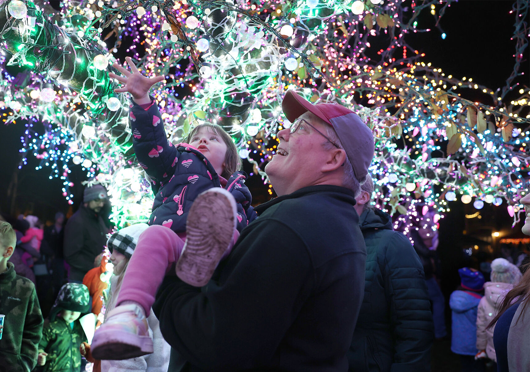 Magic Tree Lighting brings wonder to Columbia | News ...