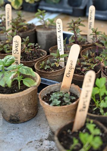 Southern Boone Learning Garden keeps students growing year-round | News ...