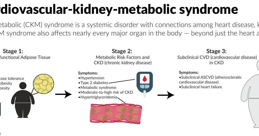 New heart syndrome links heart disease, obesity and diabetes | Local ...