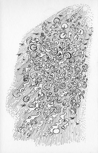 Missouri's poet laureate, Aliki Barnstone: A journey of discovery ...