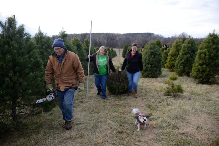 Cultivating a vision: Alspaugh family looks forward to their farm's ...