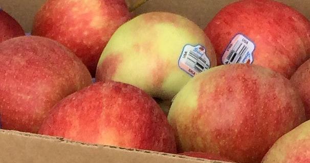 Pledge drive delivers 500 pounds of apples to food bank | Local ...