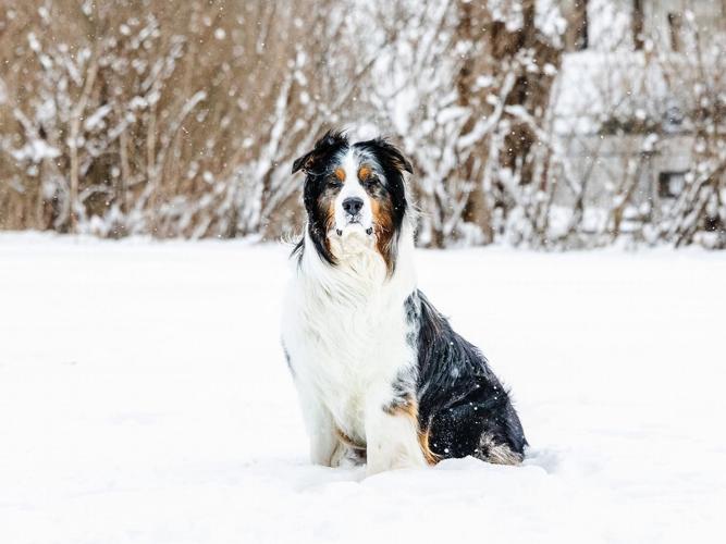 Ashland experiences heavy snow, low temperatures; Southern Boone ...