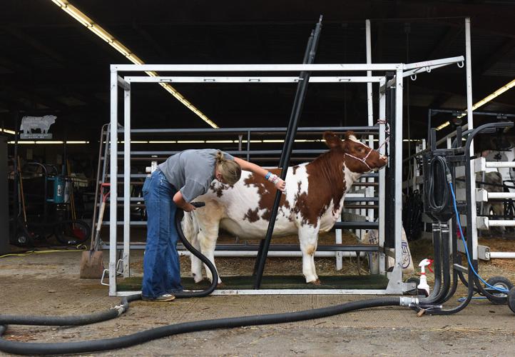 A day at the fair: Missouri State Fair slides into Sedalia | News ...