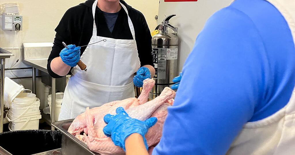 Rotary Club frying 360 Thanksgiving turkeys for charity | Local ...